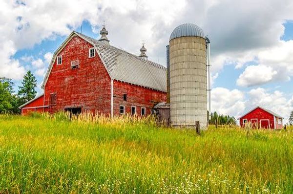Mud pies, mule teams and memories: growing up on a 60-acre f...
