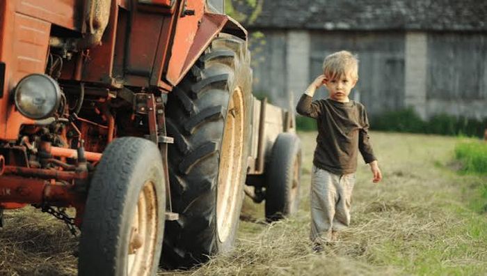 Farm safety: simple precautions that prevent injuries and sa...