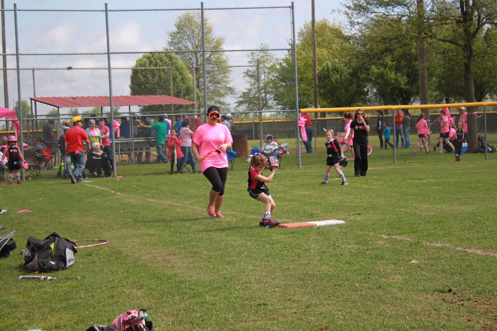 Misty's Mission hosting donkey softball game