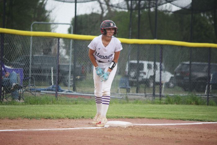 Holcomb Hornets softball racks up postseason honors after seventh stra...