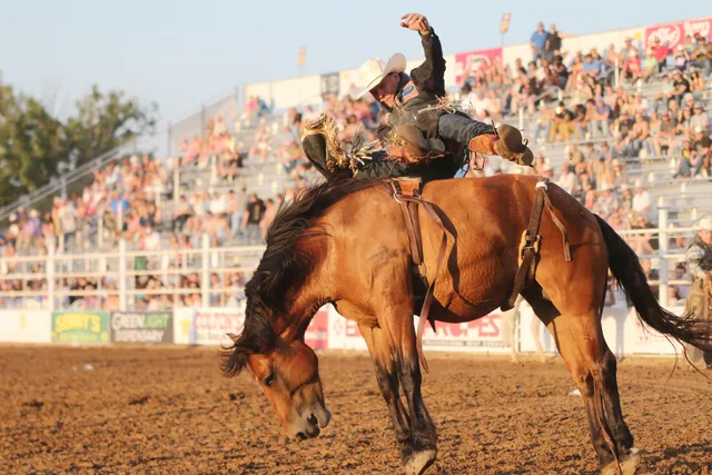 Record crowd, big payouts highlight 73rd Sikeston Jaycee Bootheel Rode...