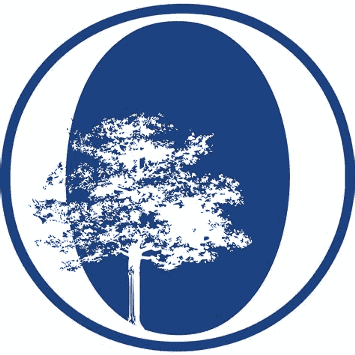 Oaklyn Council Zoning Committee to Review Storefront Window ...