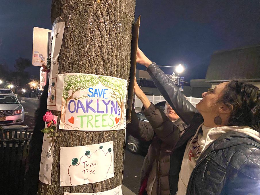 From Clinton Avenue Sidewalks to Tree City USA, Oaklyn Charts its Urba...