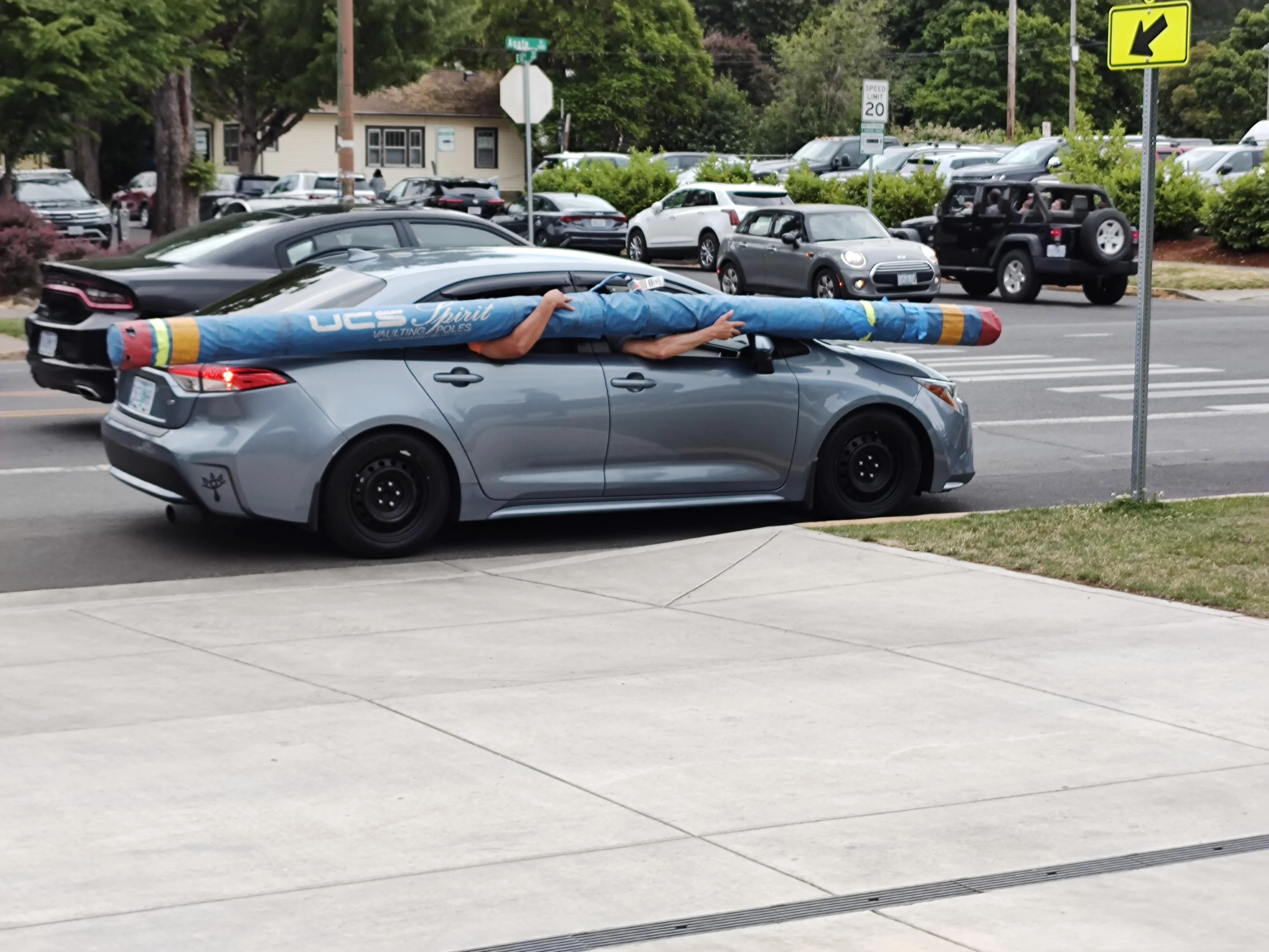 A Complete Guide To The Pole Vault Pole