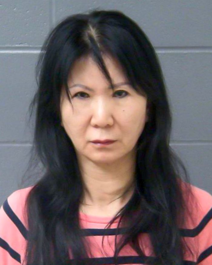 Lack of interpreter prevents Ping Schutt from entering plea in prostit...