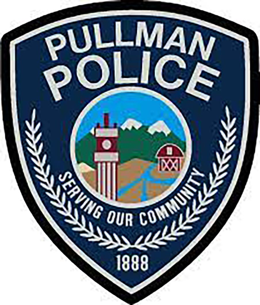 Man survives 30-foot fall off roof in Pullman