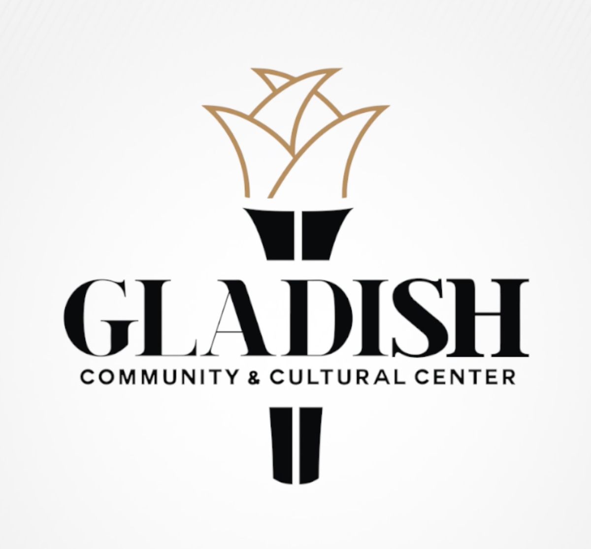 Gladish launches fundraising campaign