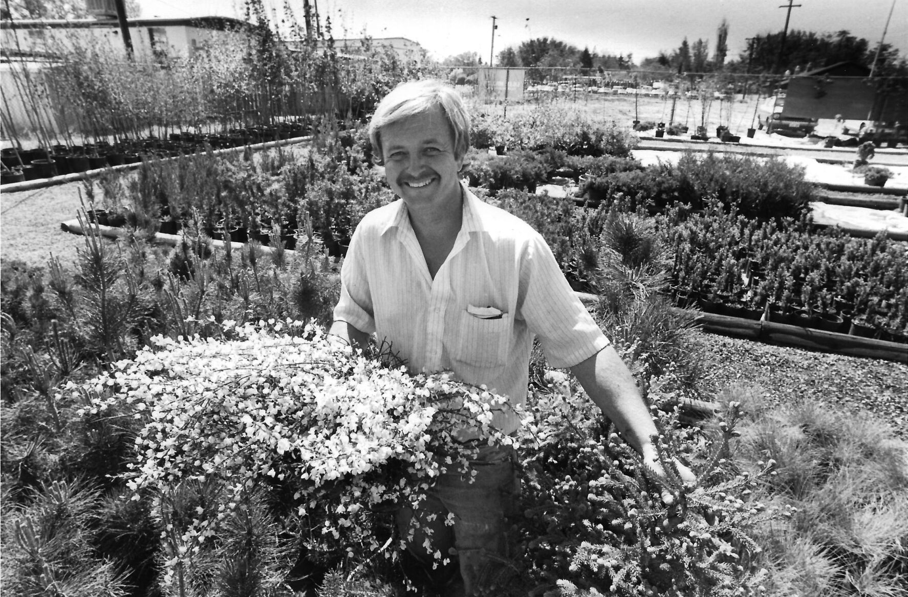 Blast from the Past / 1988: Plants from the Pacific Northwest