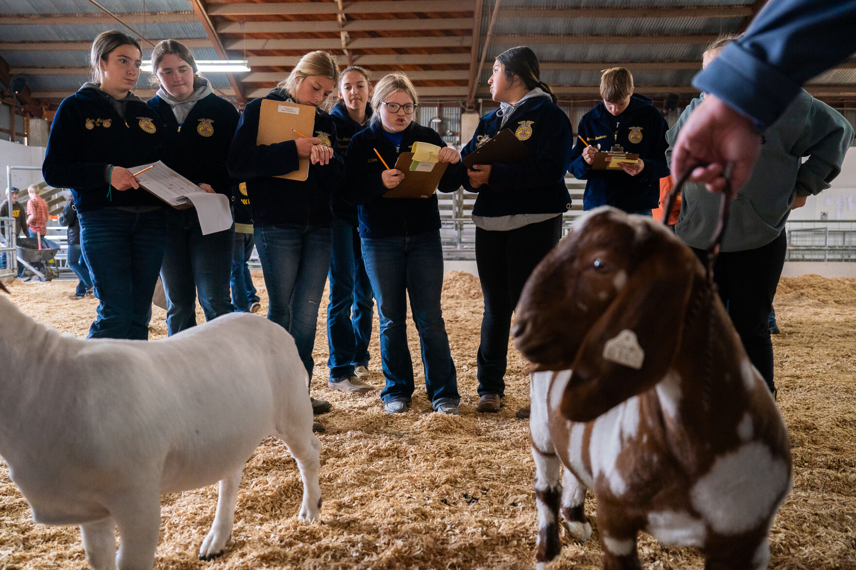 Standing at attention