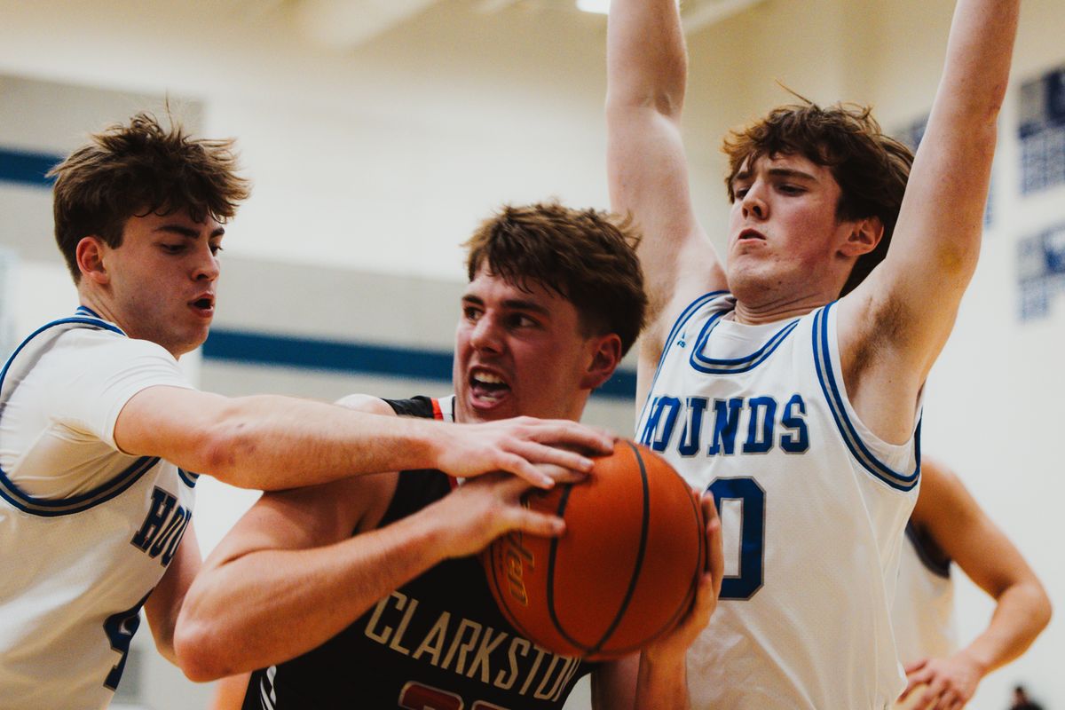 Greyhound boys storm past Bantams in semis