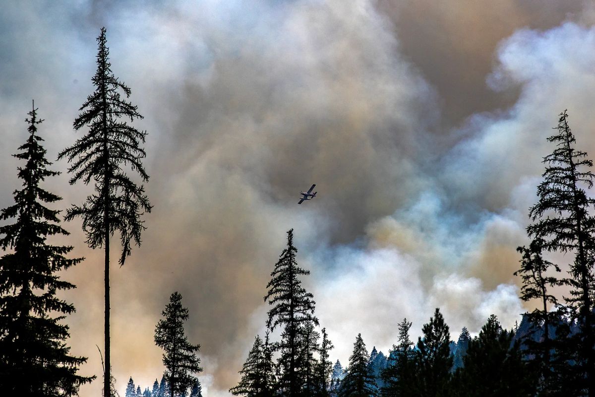 Deary fire at 77 acres