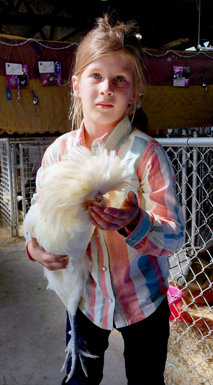Latah County Fair in Moscow highlights youth poultry show