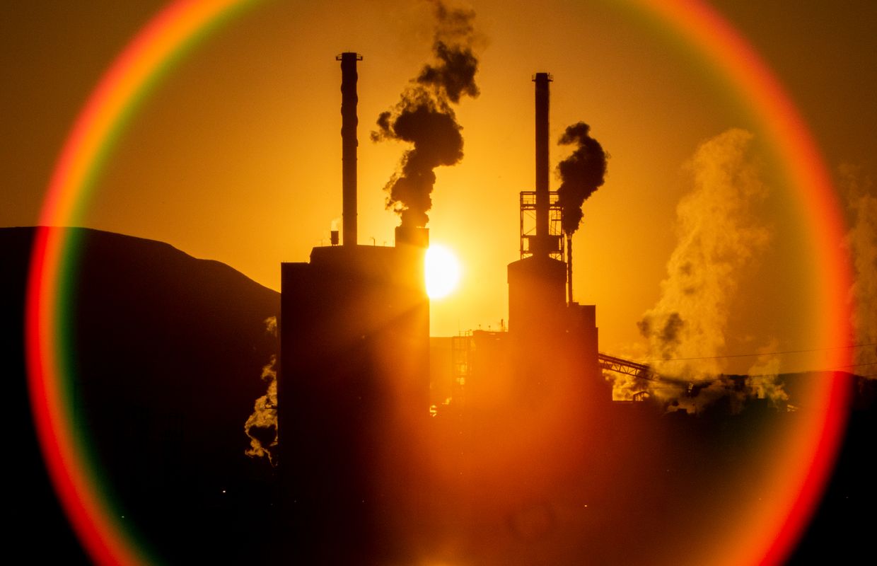 Brazilians mull offer for Clearwater Paper's pulp and paperboard opera...