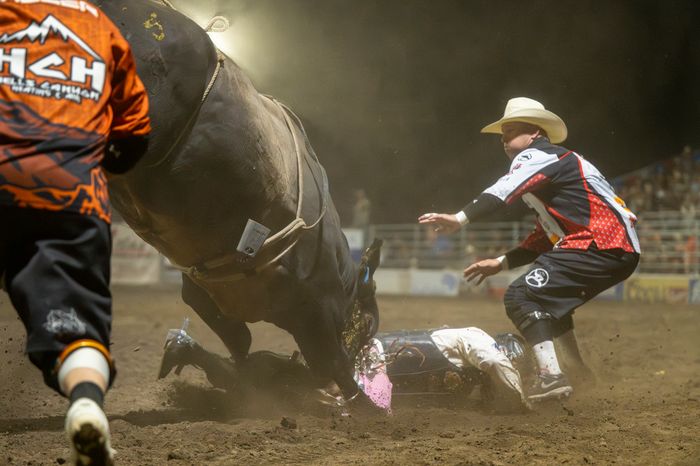 Strutting their stuff on last night of rodeo