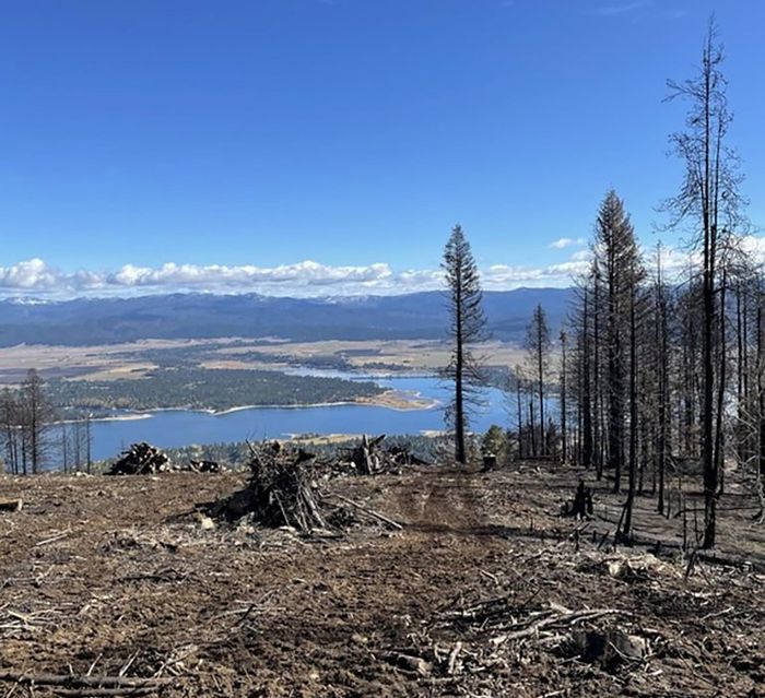 The latest Northwest News, Stories, and Articles | The Lewiston Tribune.