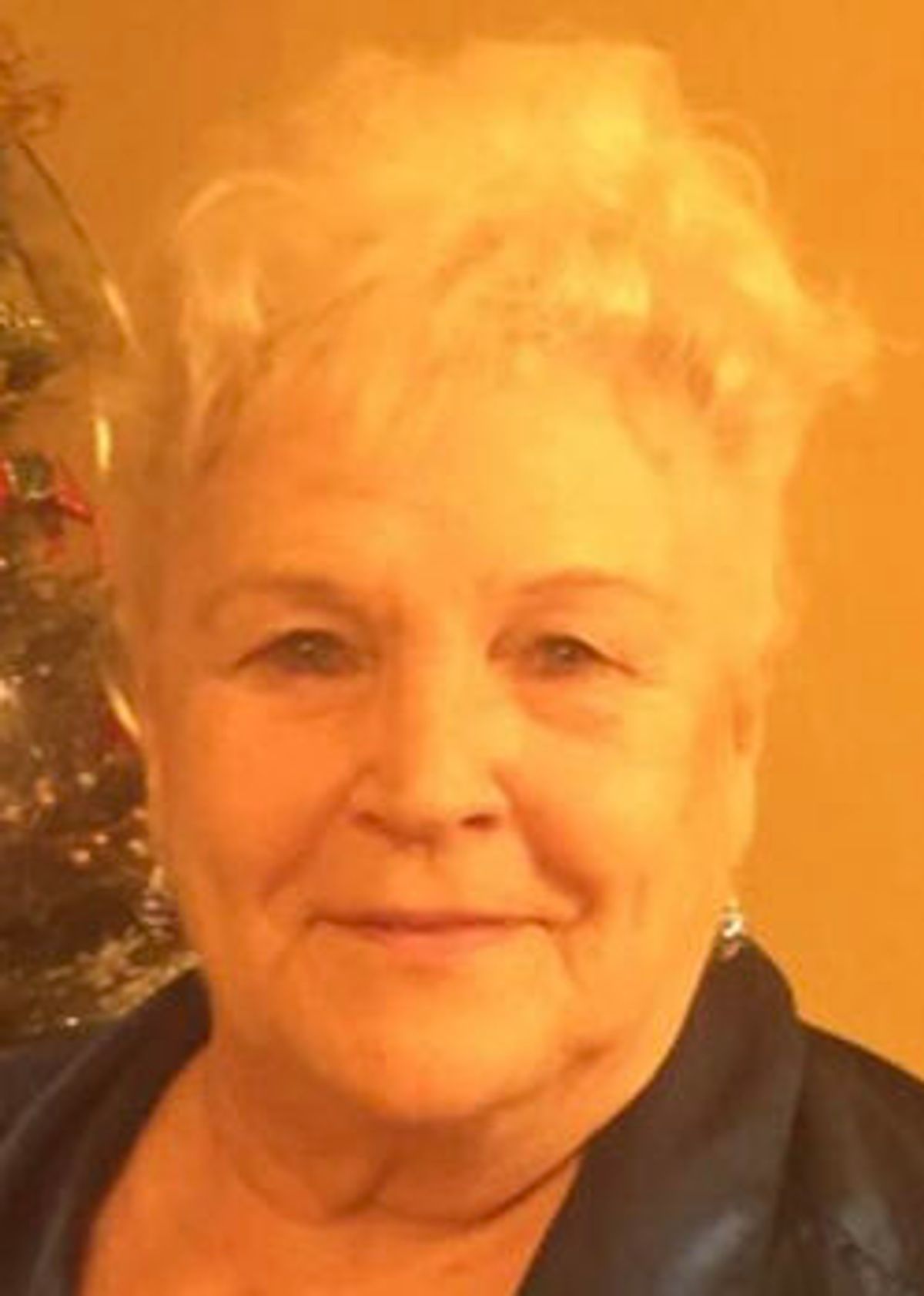 Sharon Ann Irish