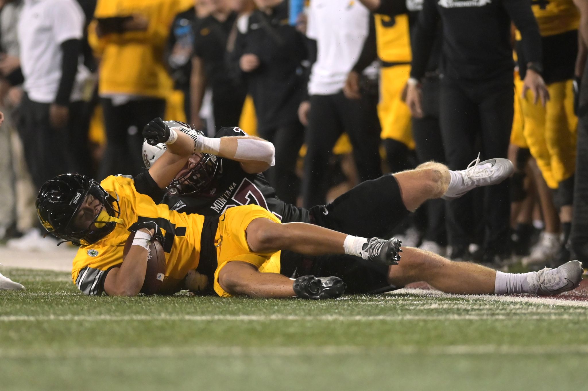 Griz keep the Little Brown Stein in Missoula after defeating Vandals