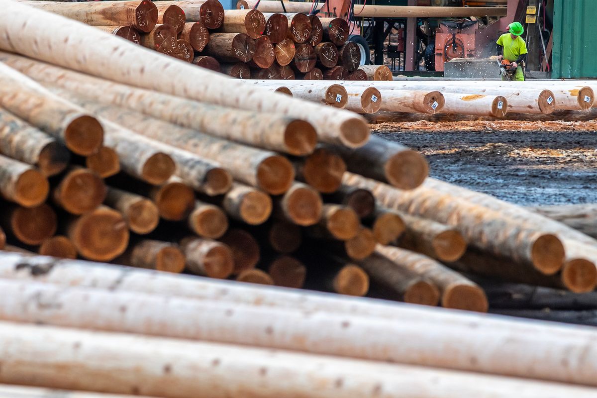 Logging hours