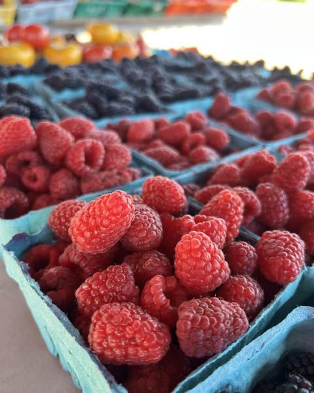 Sweet Melon Shack expands with new Lewiston location