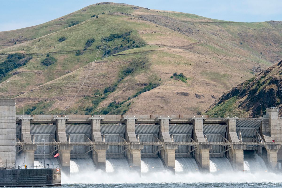 Trump spikes NW salmon agreement