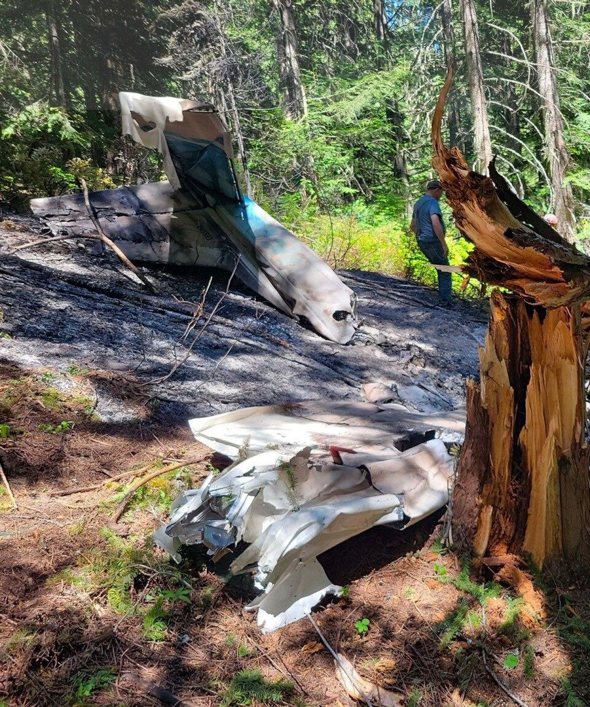 Spokane man dies in plane crash near Elk River on Wednesday;...