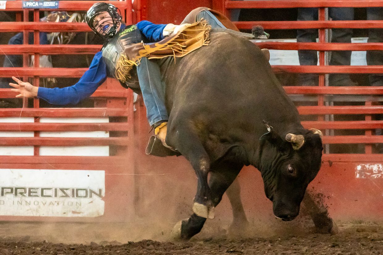 All the top rodeo pros are expected to appear in Lewiston Roundup