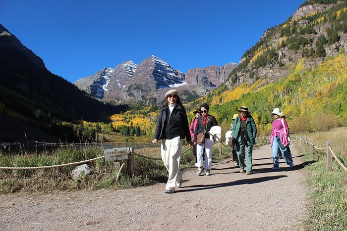 An enchanting solution to overcrowding?