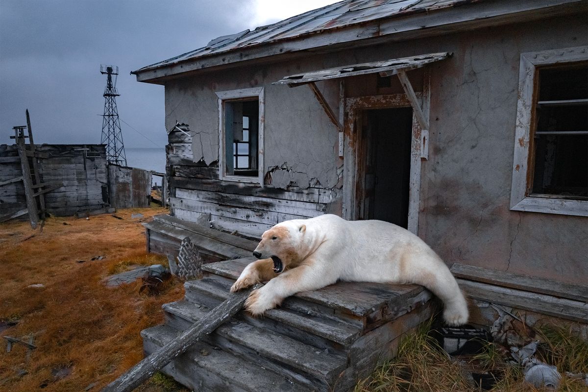 PHOTOS: Best of the Associated Press for 2025