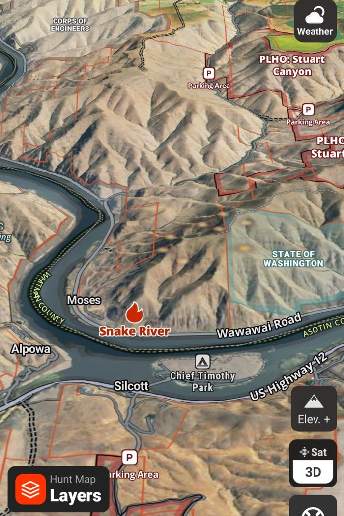 Snake River Fire at 686 acres, 0% contained
