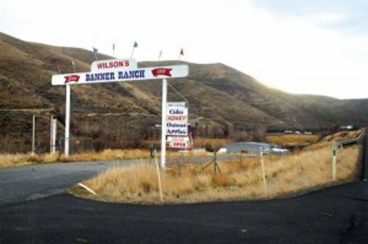 Family feud splits Wilson Banner Ranch