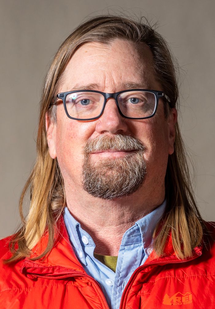 Bighorn resurgence interrupted