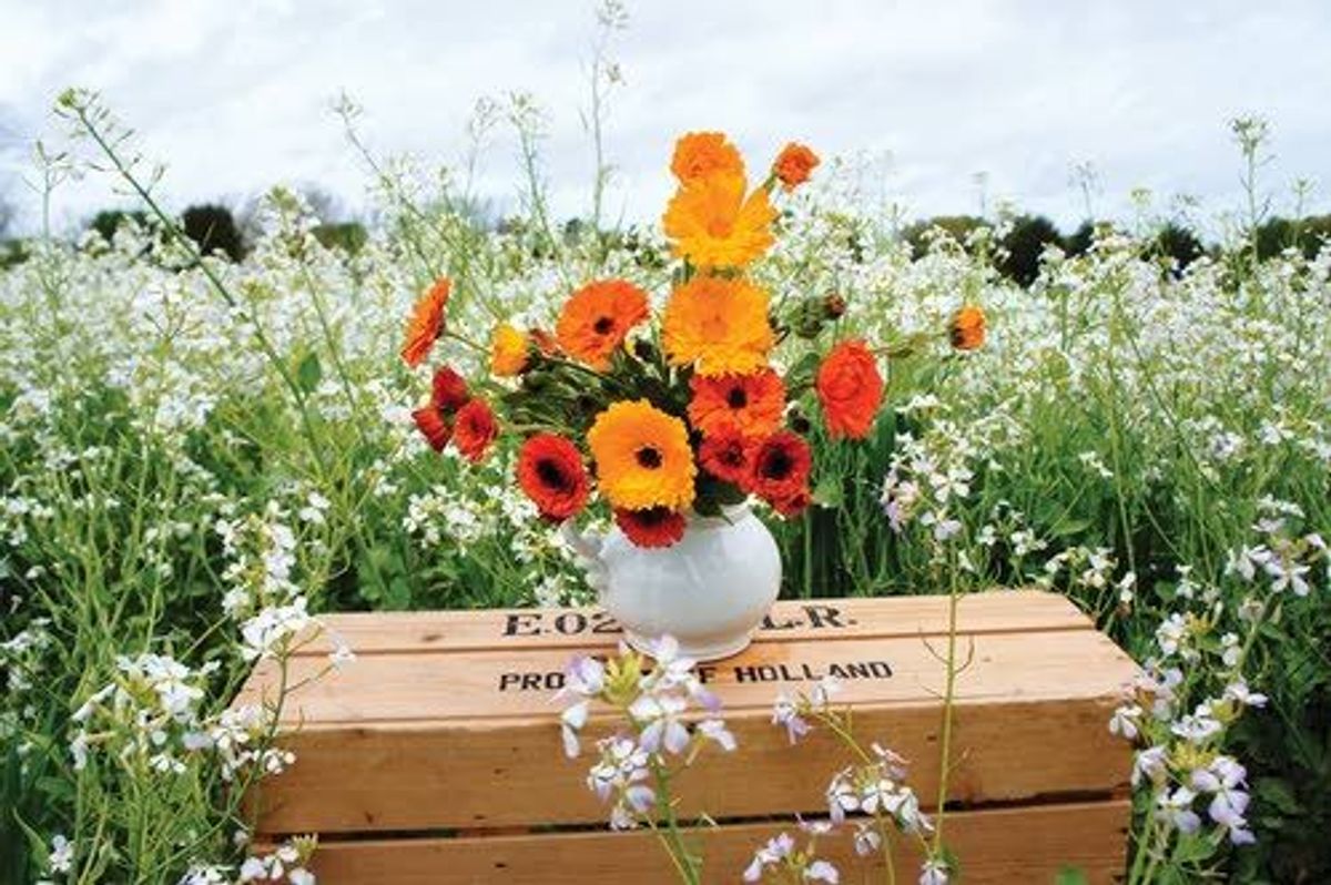 Cool Flowers