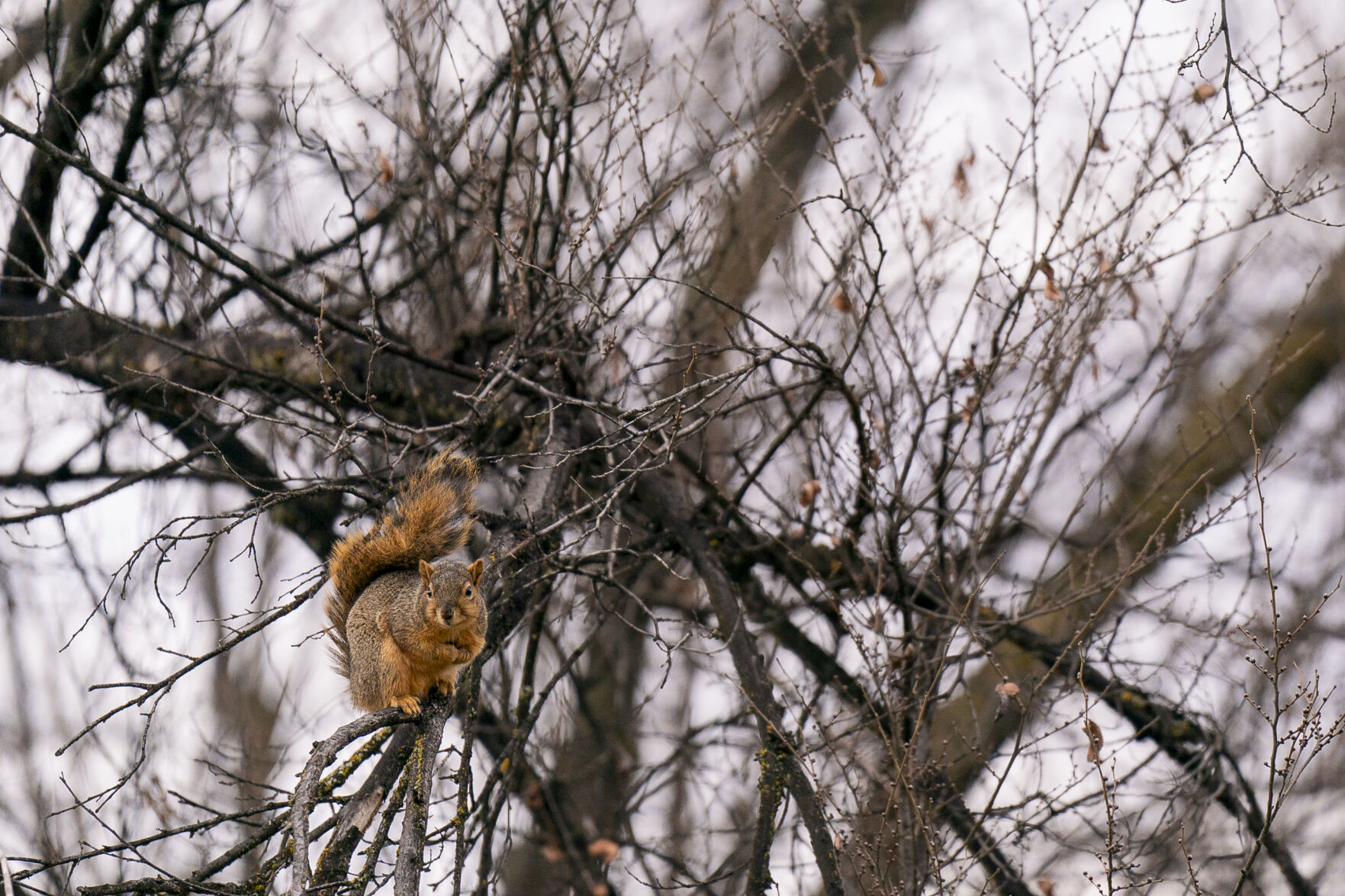 Hangin’ at Chestnut Beach