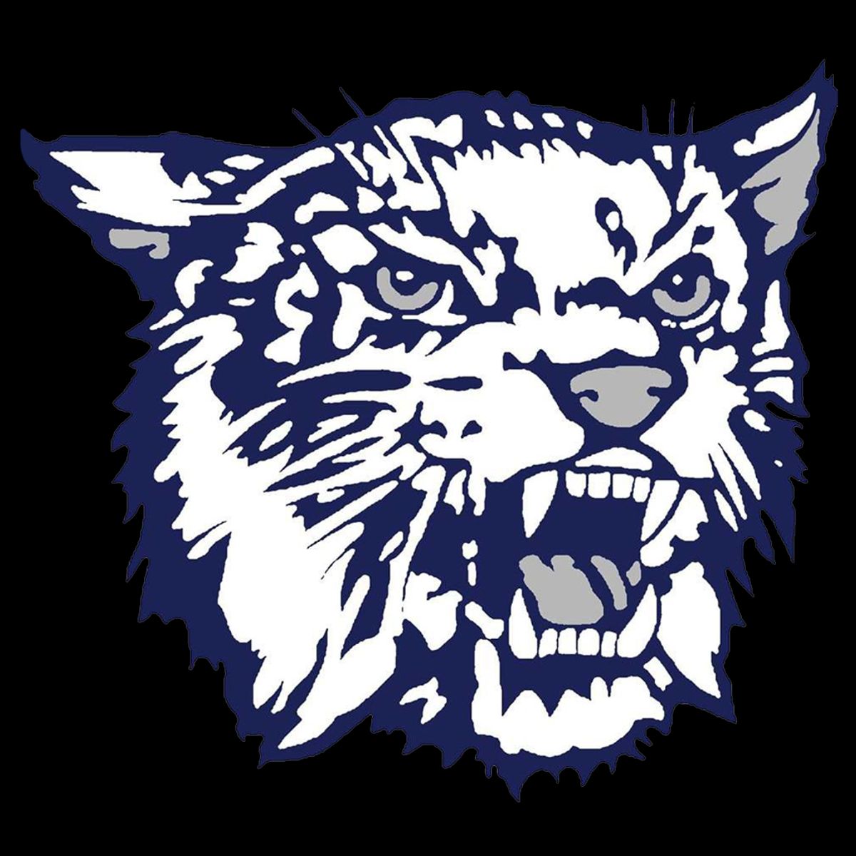 PREP ROUNDUP: Lapwai’s Picard surpasses 1,000 career points in win ove...