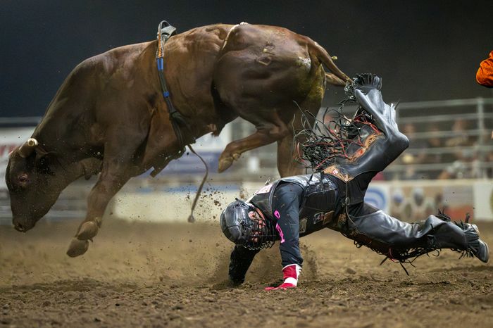 Bazinga! Hot night of rodeo at Lewiston Roundup
