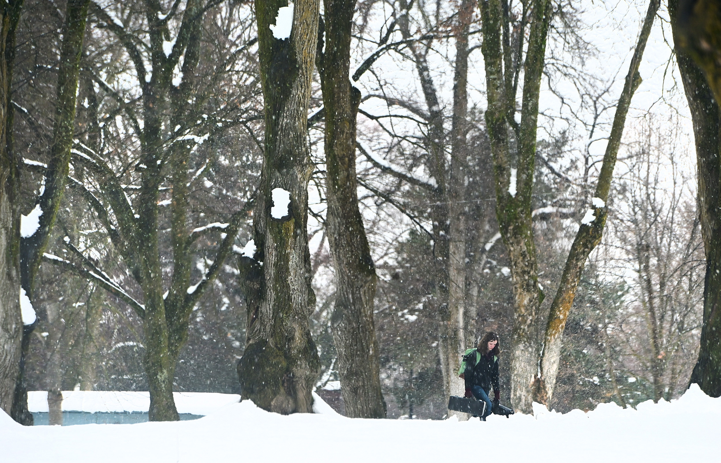 Trudging through the park