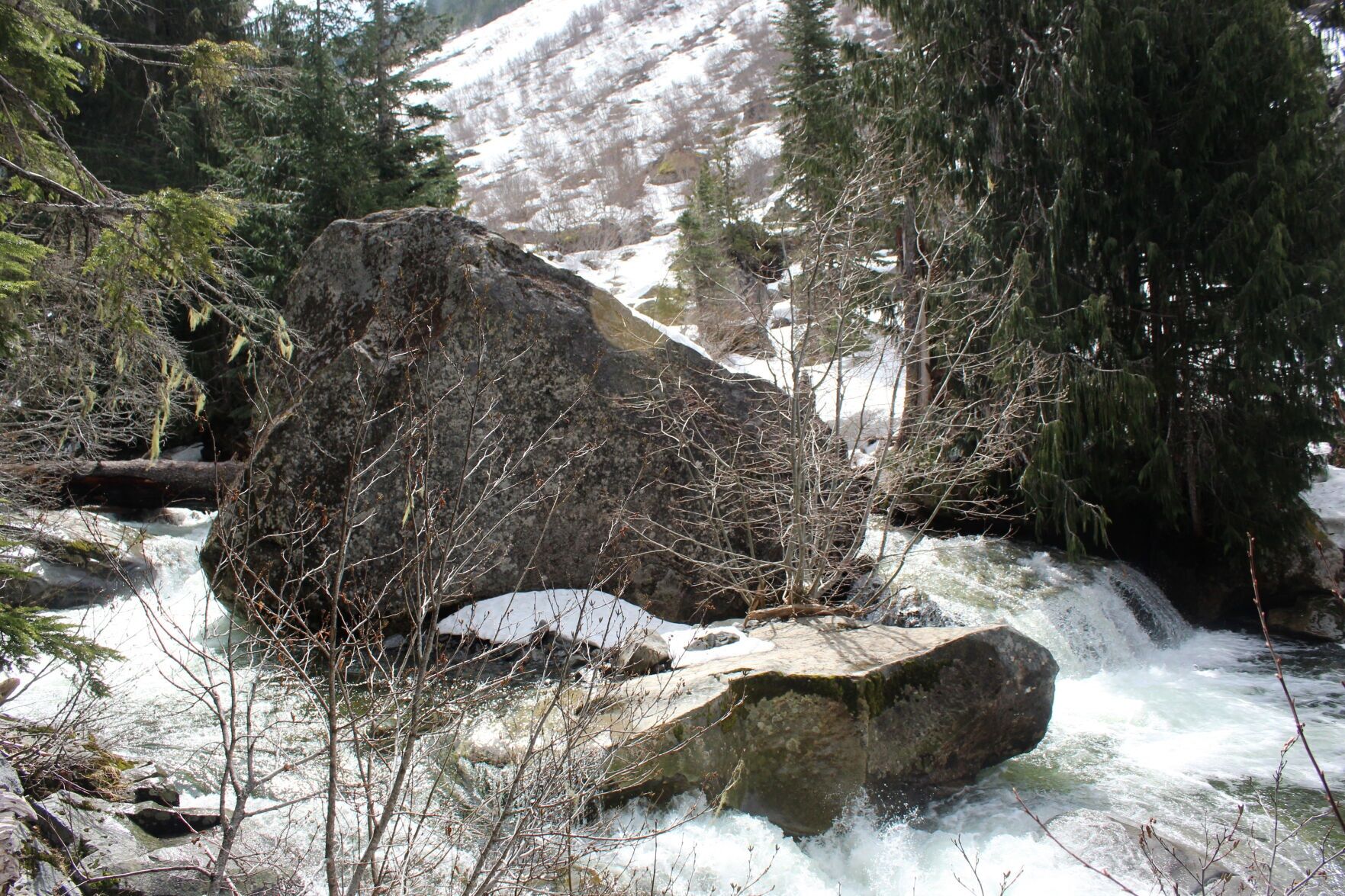 Waterfalls, not wildflowers, are Mount Rainier park’s main springtime ...