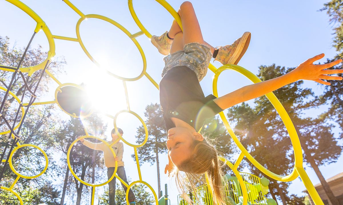 BIG PICTURE: Life is circular ... and upside down