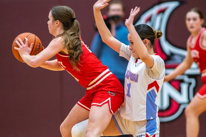 Top-ranked Wildcats stung by Hornets in Class 1A DI girls basketball s...