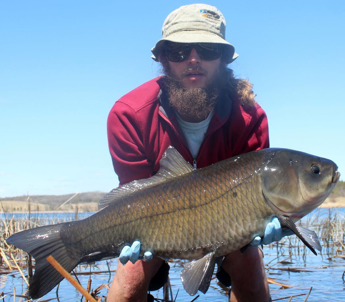 At 112 years, Minnesota fish is oldest freshwater fish ever ...