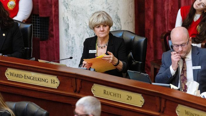 Idaho looks at limiting face coverings