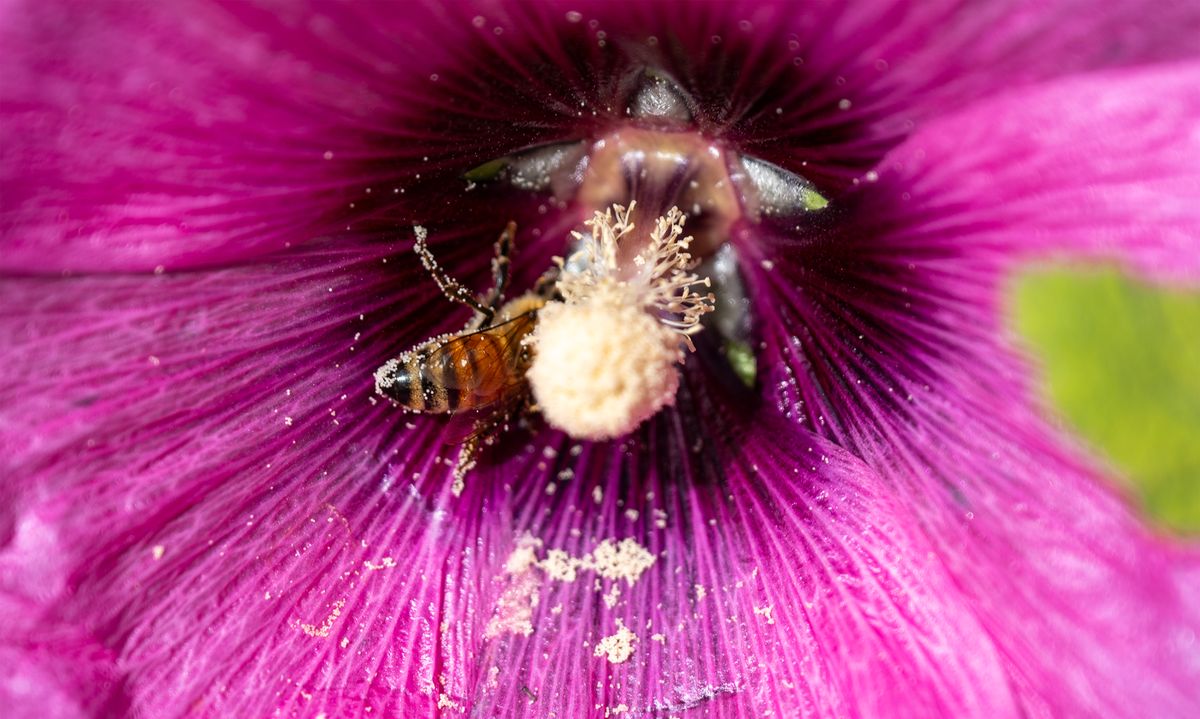 BIG PICTURE: Getting buried in its work