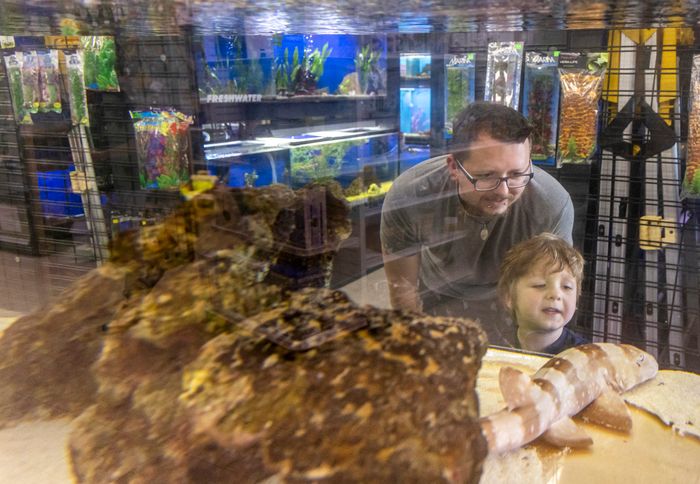 A fish called Mildred