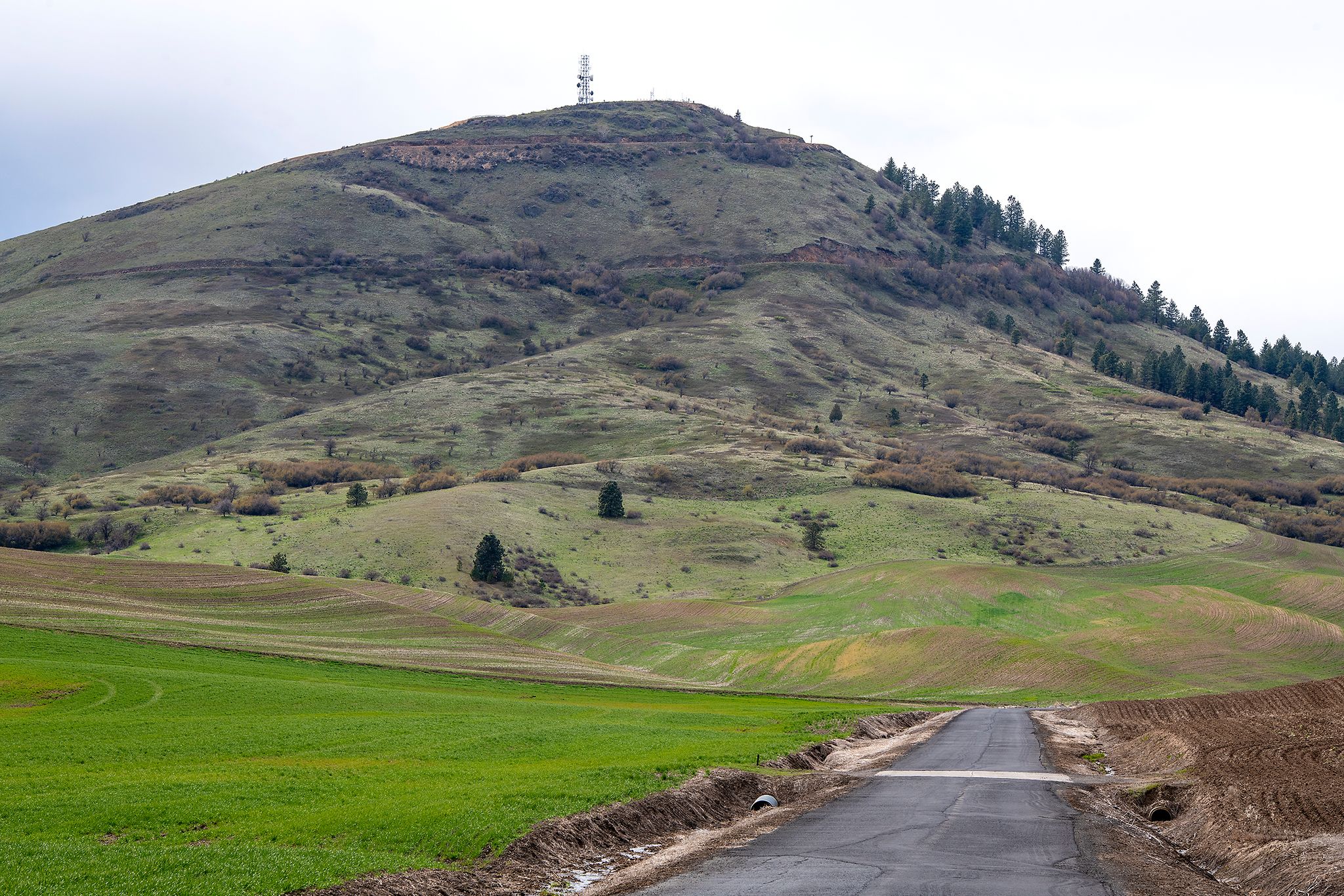 Steptoe Butte State Park to remain closed after sustaining damage from...