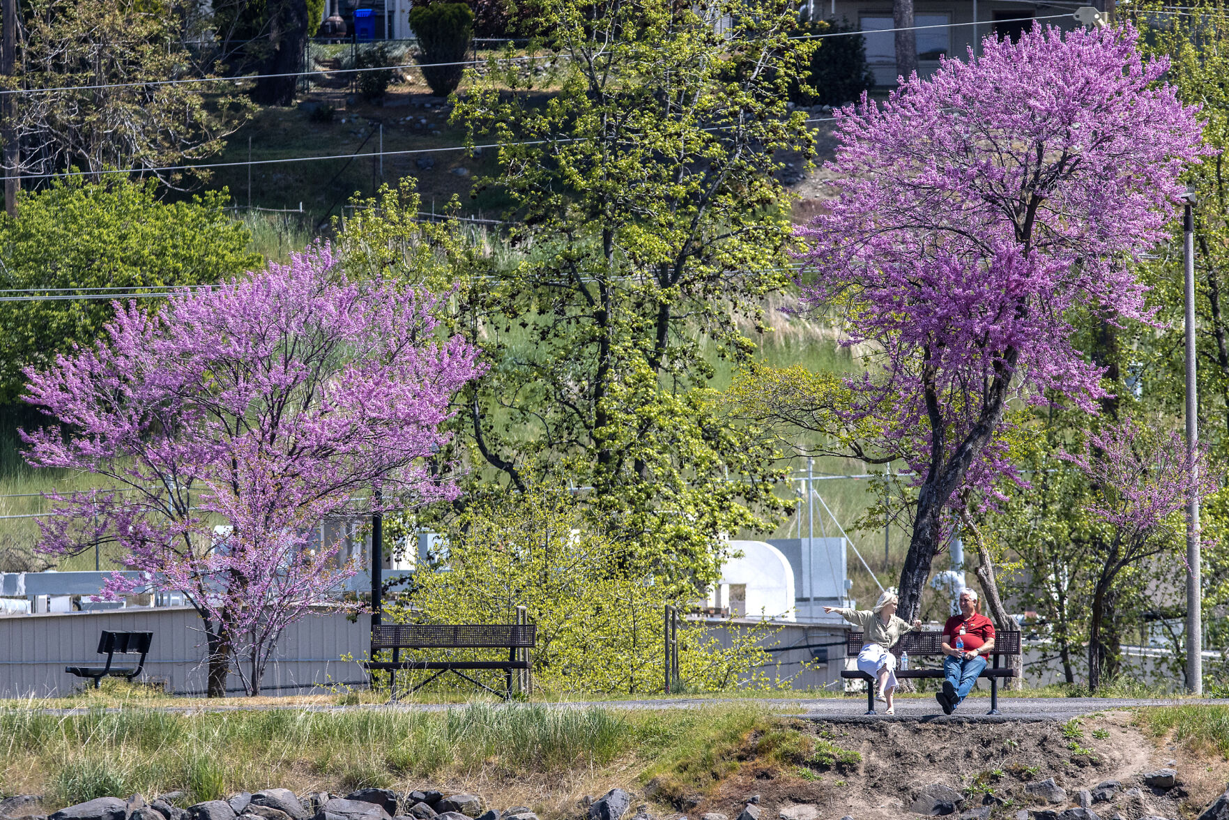 Photo: Spring chat