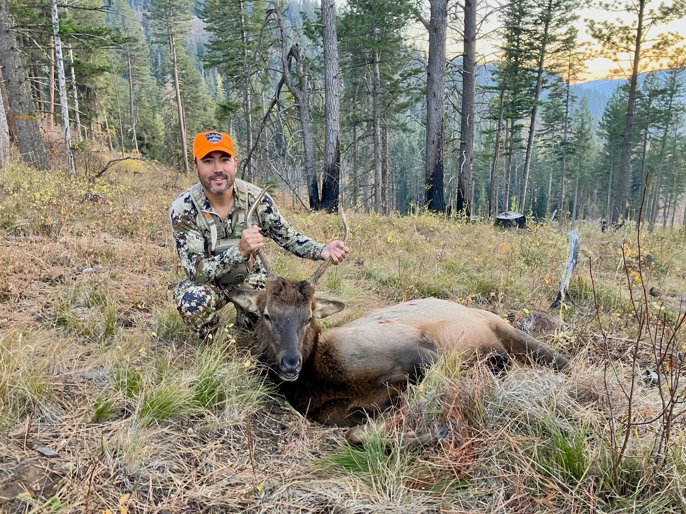 Skin in the game: Idaho's new policy requires out-of-state h...