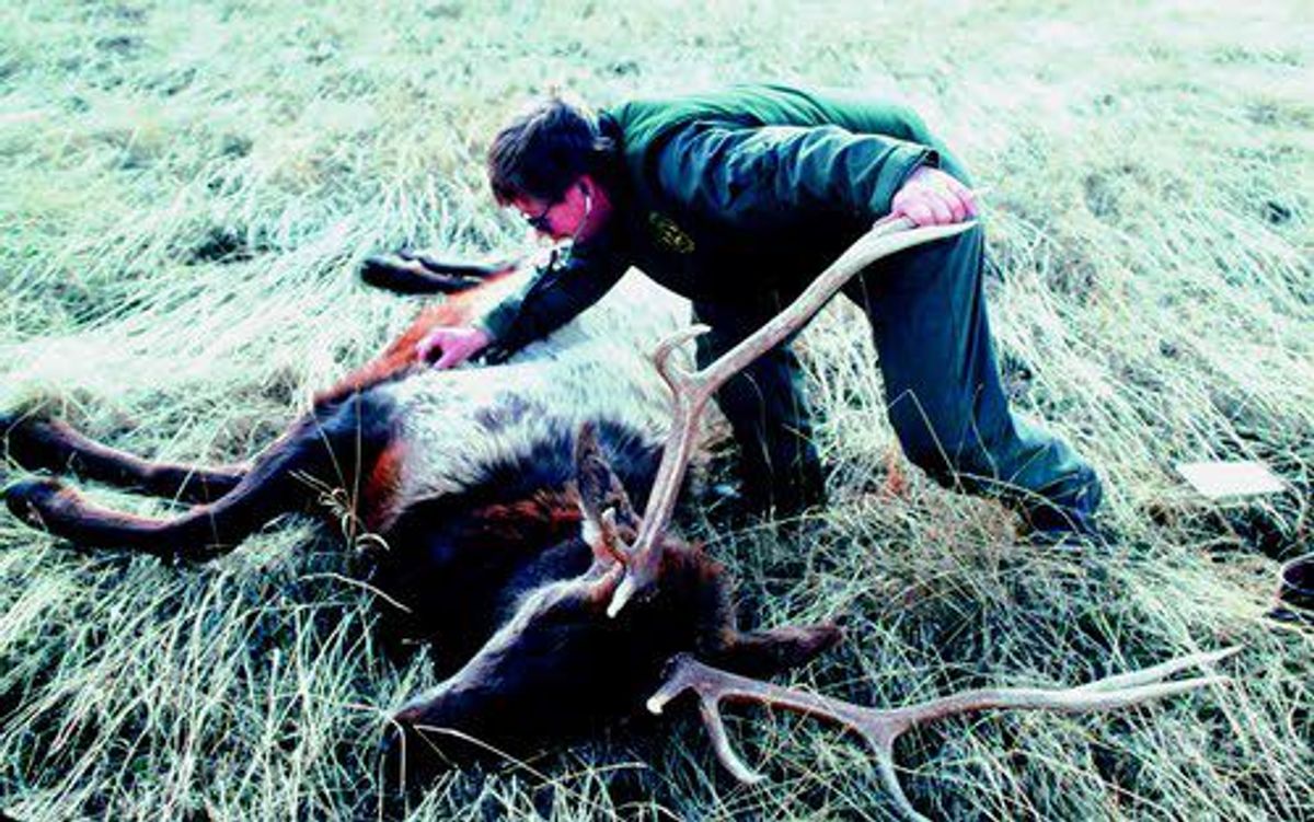 Hot shot biologist calls it a career