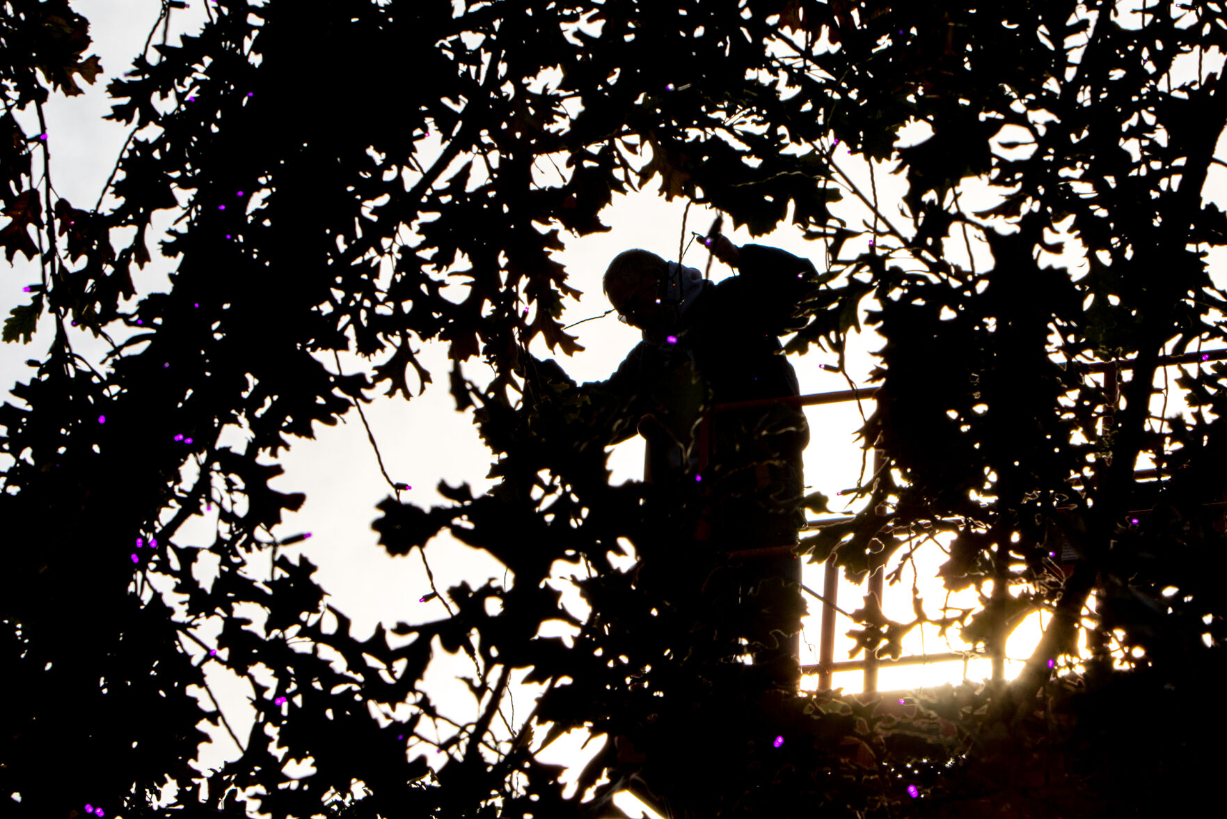 Photo: Winter Spirit preparation
