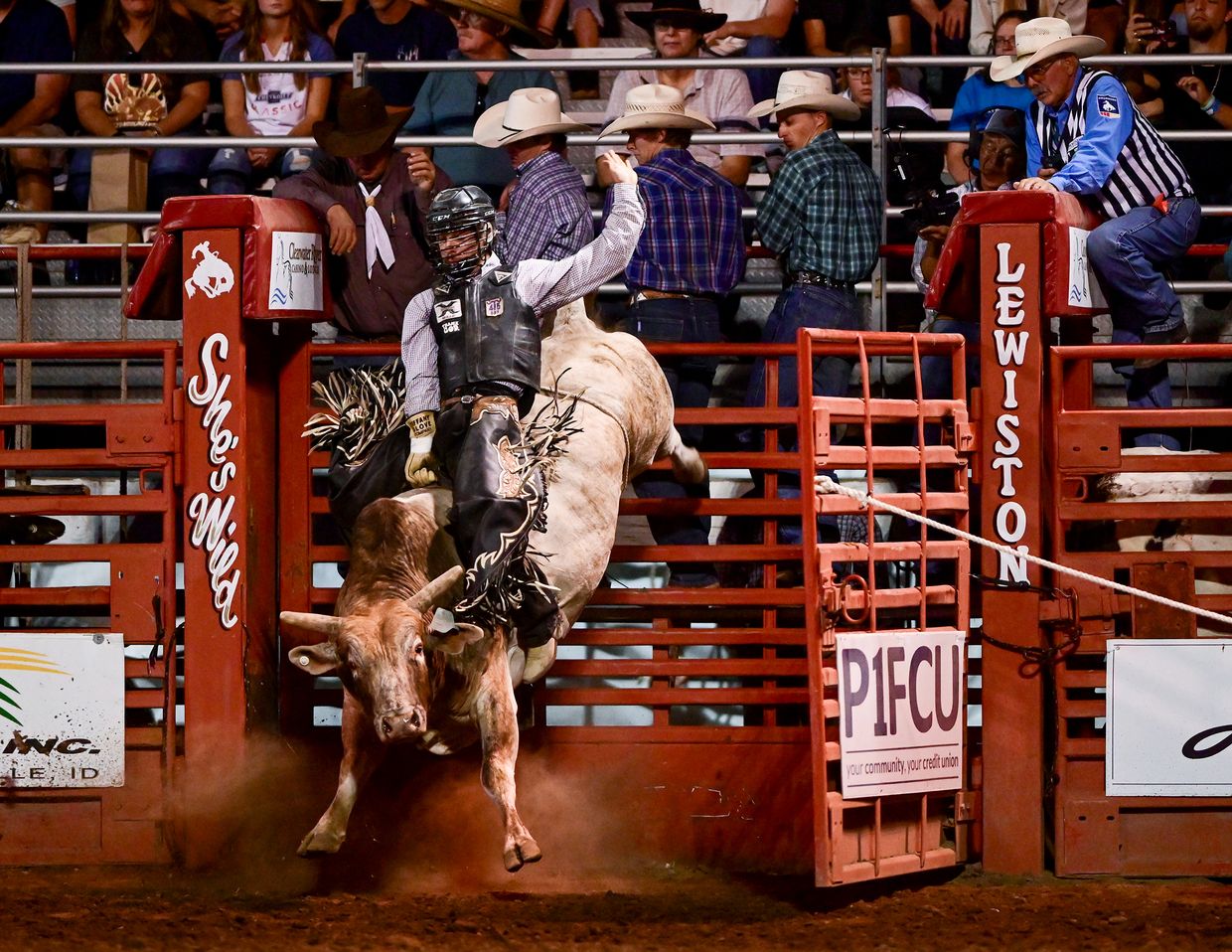 All the top rodeo pros are expected to appear in Lewiston Roundup