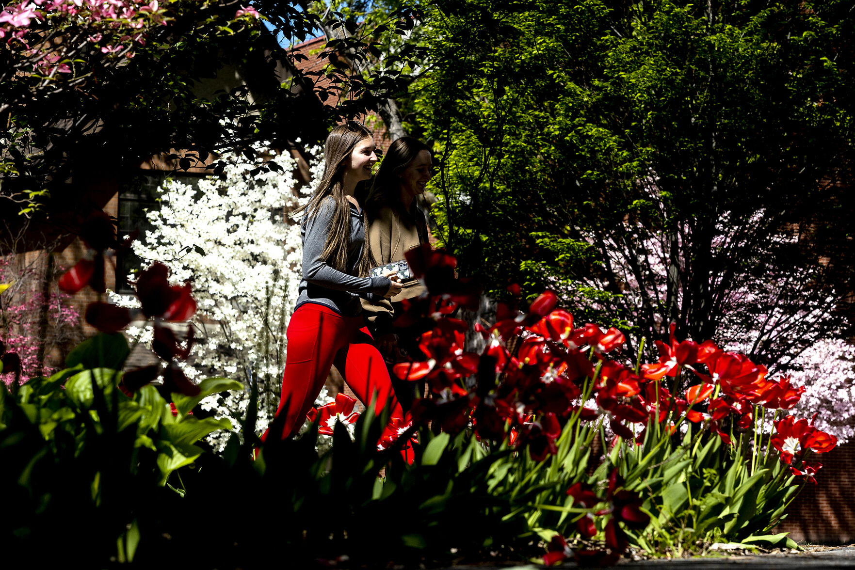 Photo: Colorful campus walk